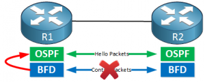 Bidirectional Forwarding Detection (BFD)
