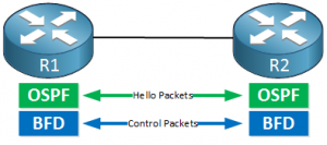 Bidirectional Forwarding Detection (BFD)