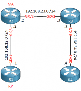 Multicast PIM Auto RP