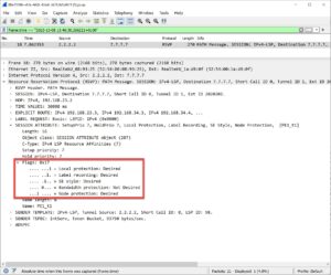 MPLS TE Fast Reroute Path Node Protection